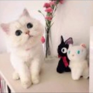 天天学财税 