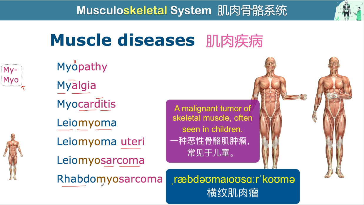 如何快速学好医学英语