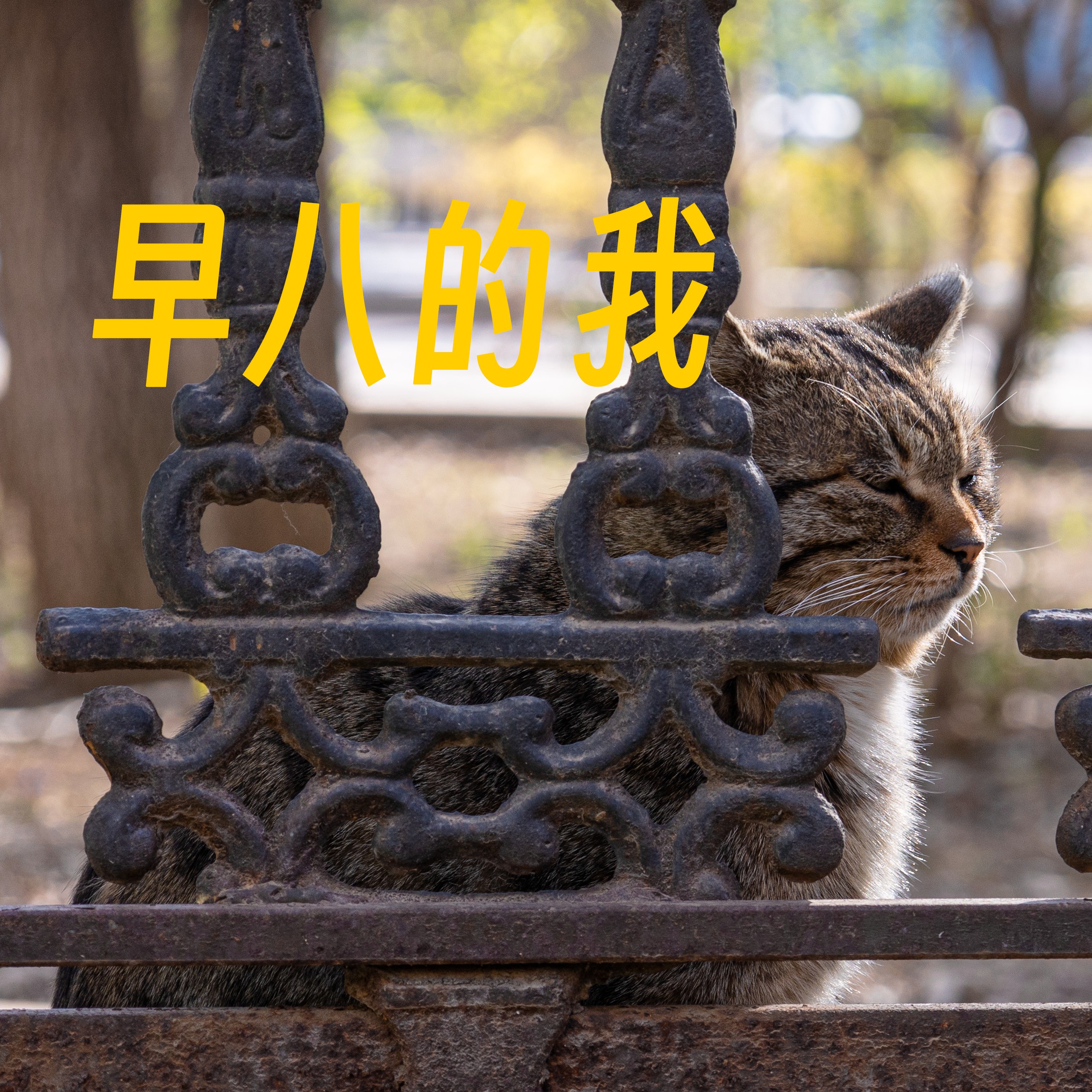 牛肉膏蛋白栋 