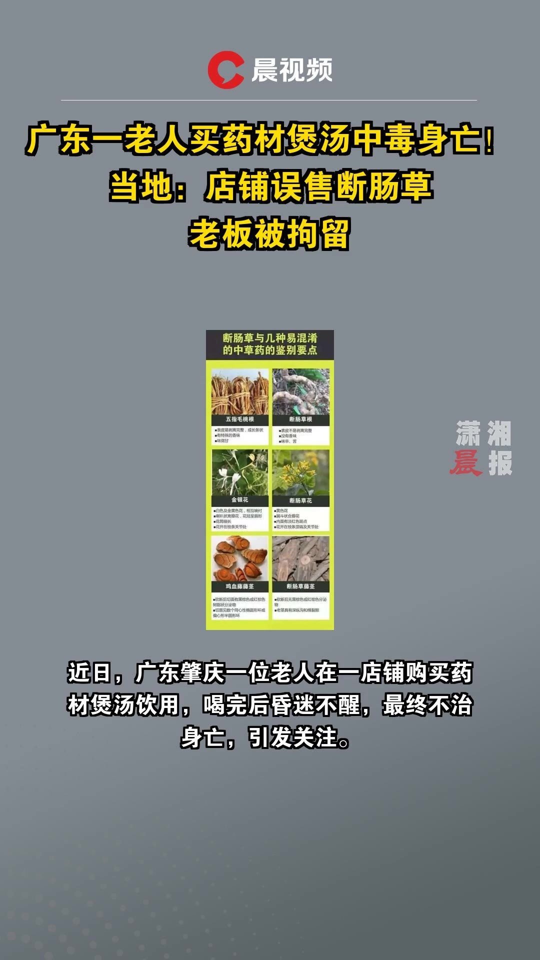 广东一老人买药材煲汤中毒身亡!当地:店铺误售断肠草,老板被拘留