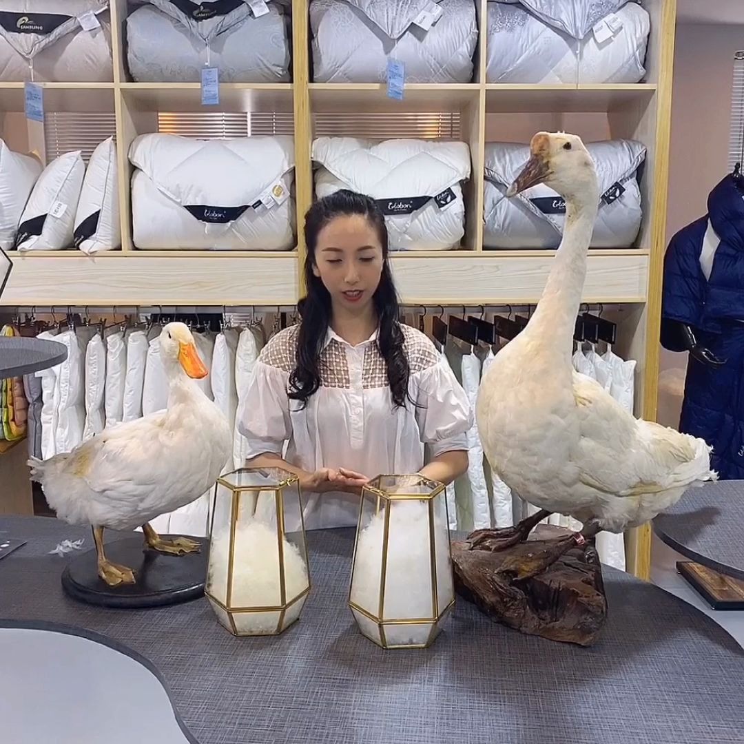 鸭绒和鹅绒的区别,哪个好一点
