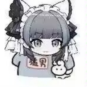 雅閣威尔 