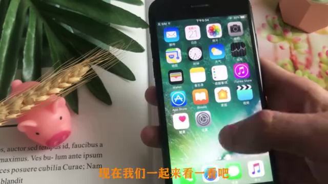 苹果引导式访问你会用吗?教你一招开启它,再也不怕.