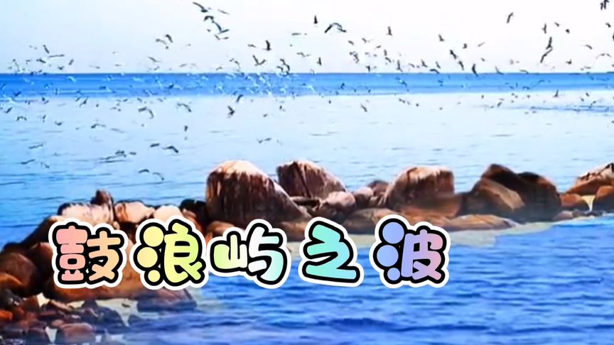 张暴默的经典老歌《鼓浪屿之波》,歌曲唱出两岸同胞的共同心声!
