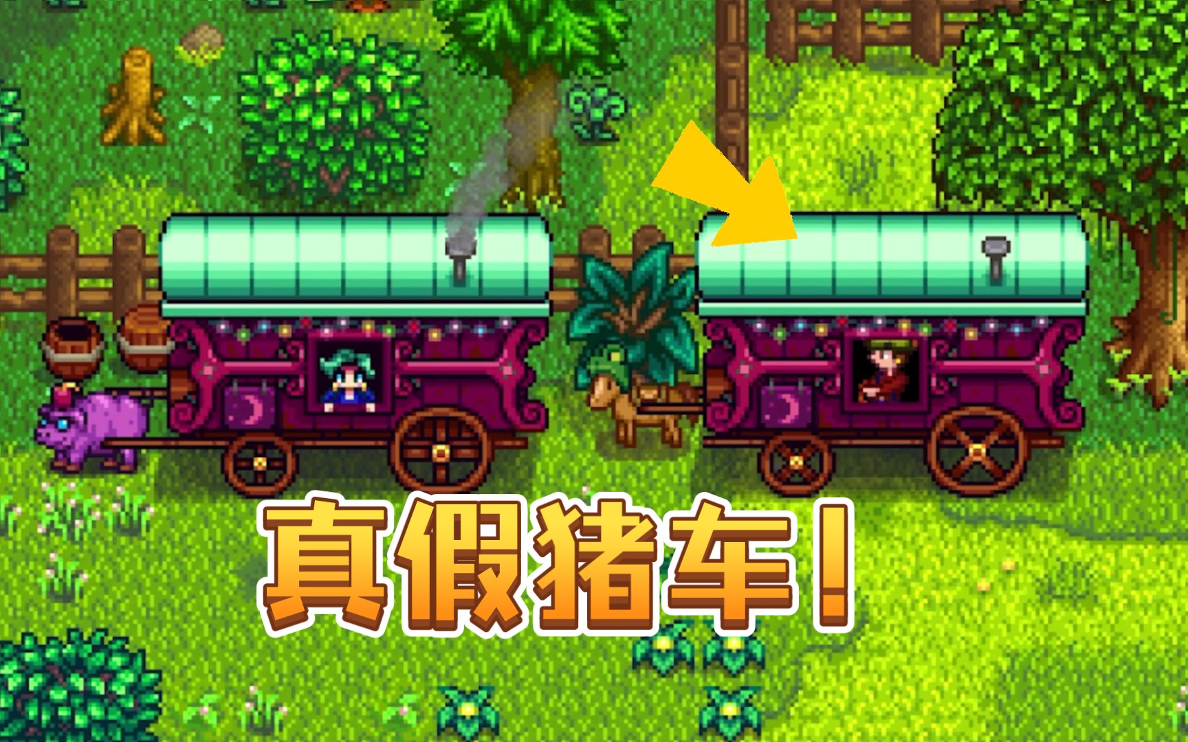 鹈鹕镇出现了两个旅行猪车?给大橘带上帽子,放在农作物之间的稻草人!