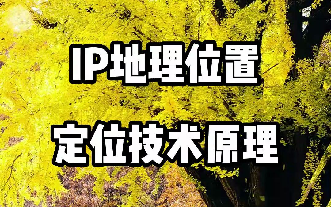 #IP定位 #IP归属地 #IP地址定位 IP地理位置定位技术原理是什么