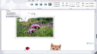 云飘课堂-word2010基础操作,插入图片:8图片艺术效果的设置