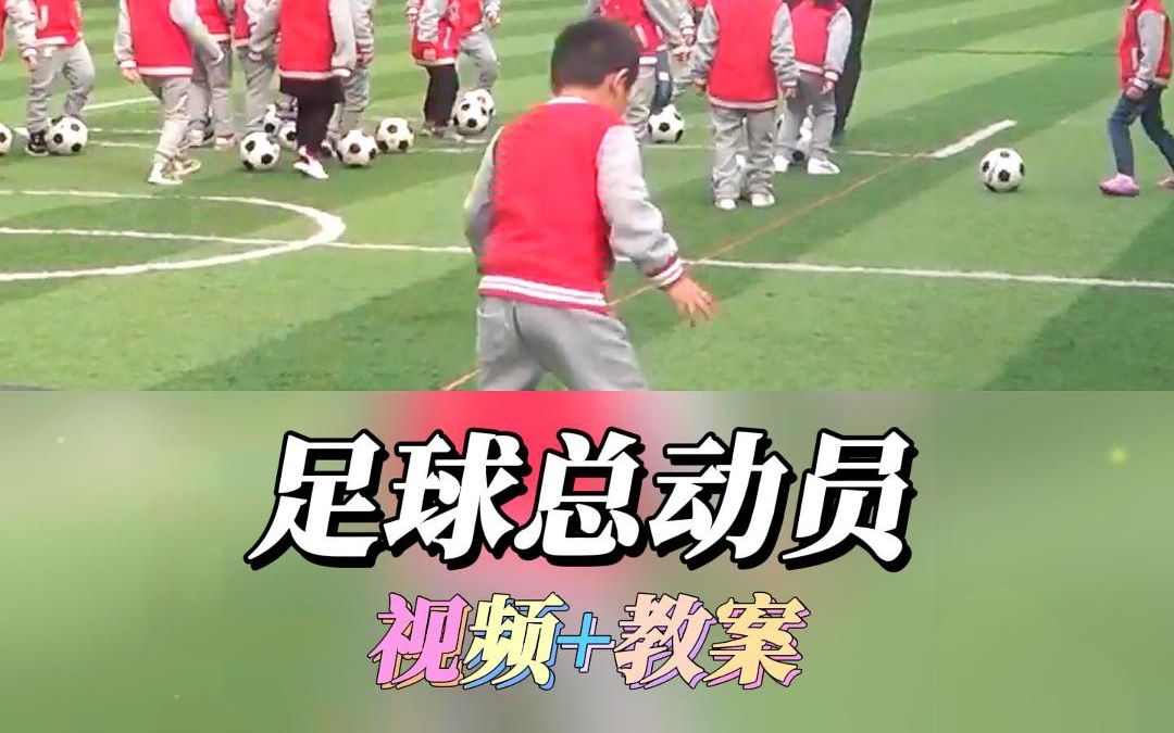 幼儿园中班体育健康户外游戏领域一等奖优质公开课《足球总动员》...