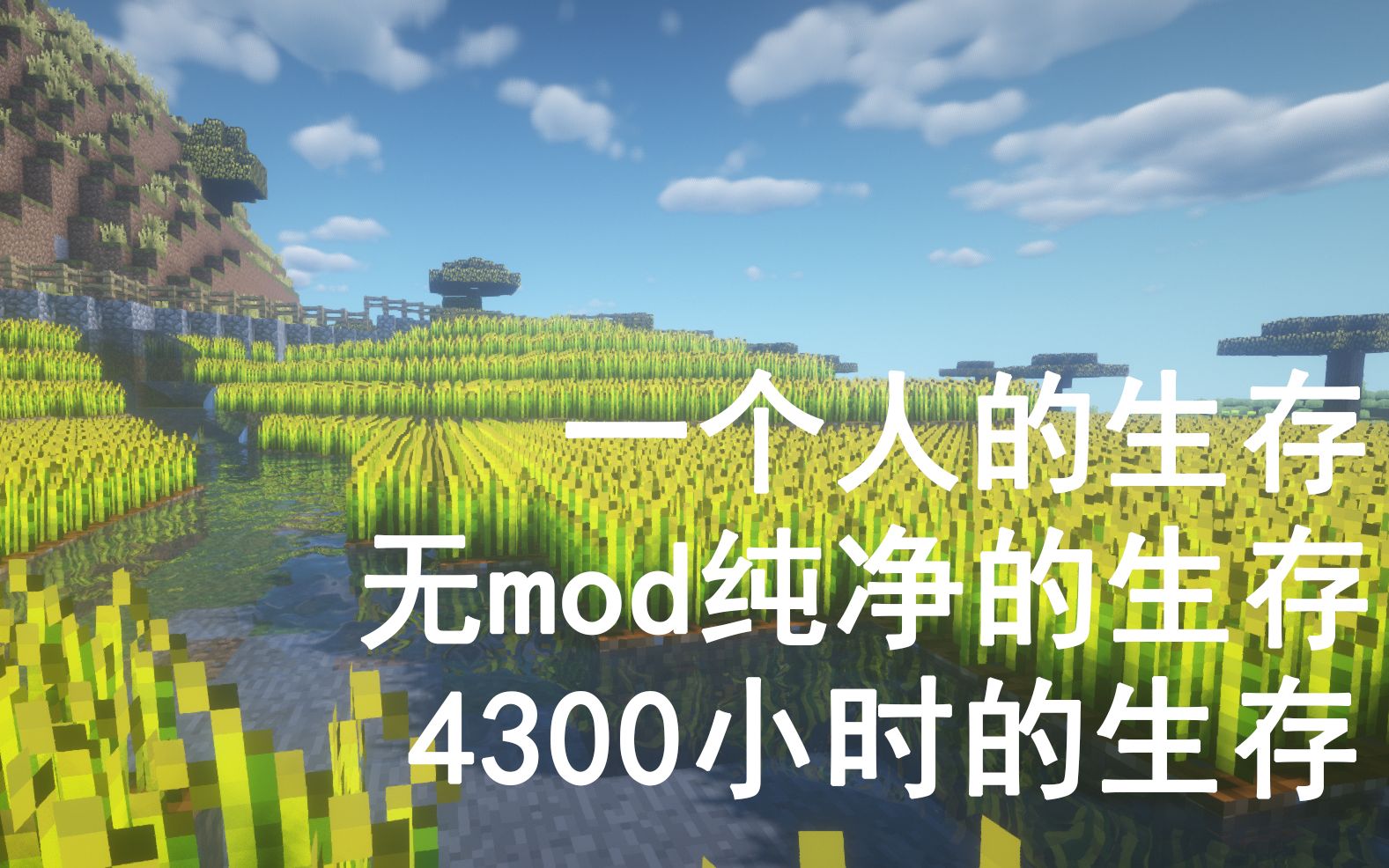 【我的世界】别人的世界!用第一人称带你们一起来看看一个人4300...