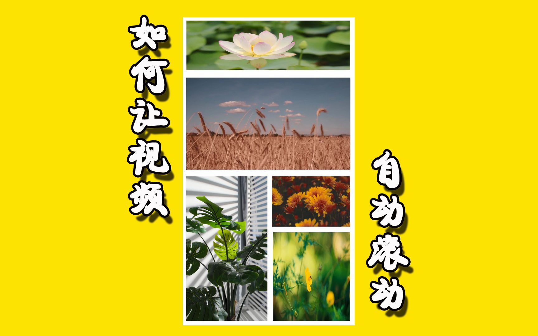 如何让视频自动滚动起来?“关键帧”要学好!