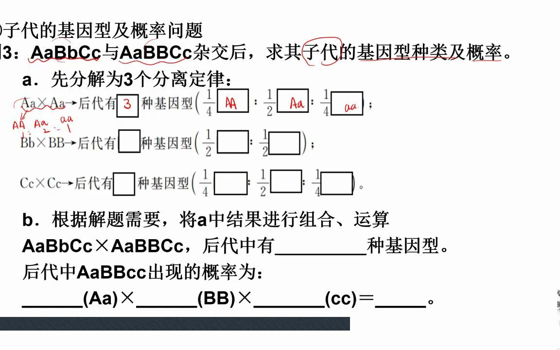 乘法原理配子、基因型、表型