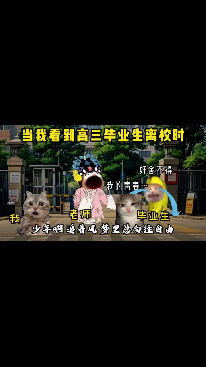 当我看到高三毕业生离校时