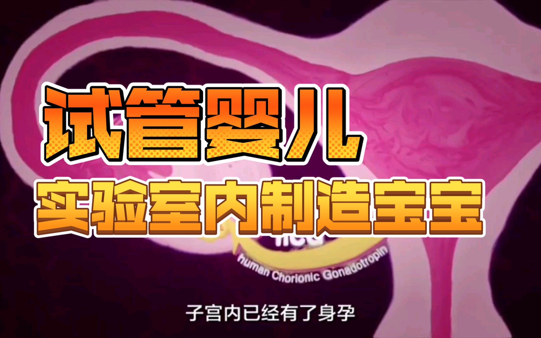 科普-试管婴儿,在实验室内制造宝宝