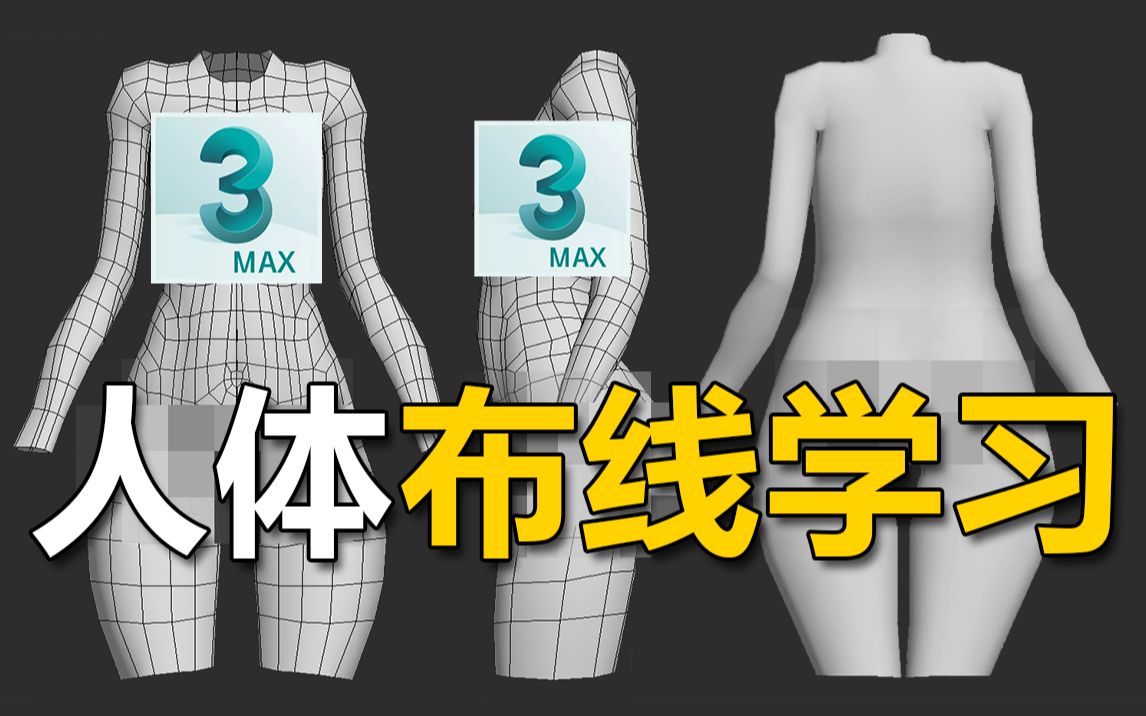 3DMAX人体模型学习教程-萝莉形体 结构比例制作,全身布线技巧教学