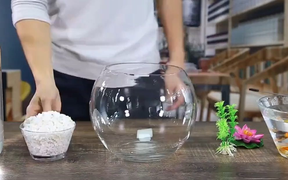 透明玻璃鱼缸圆球鱼缸小型客厅家用金鱼缸免换水懒人办公桌创意缸!
