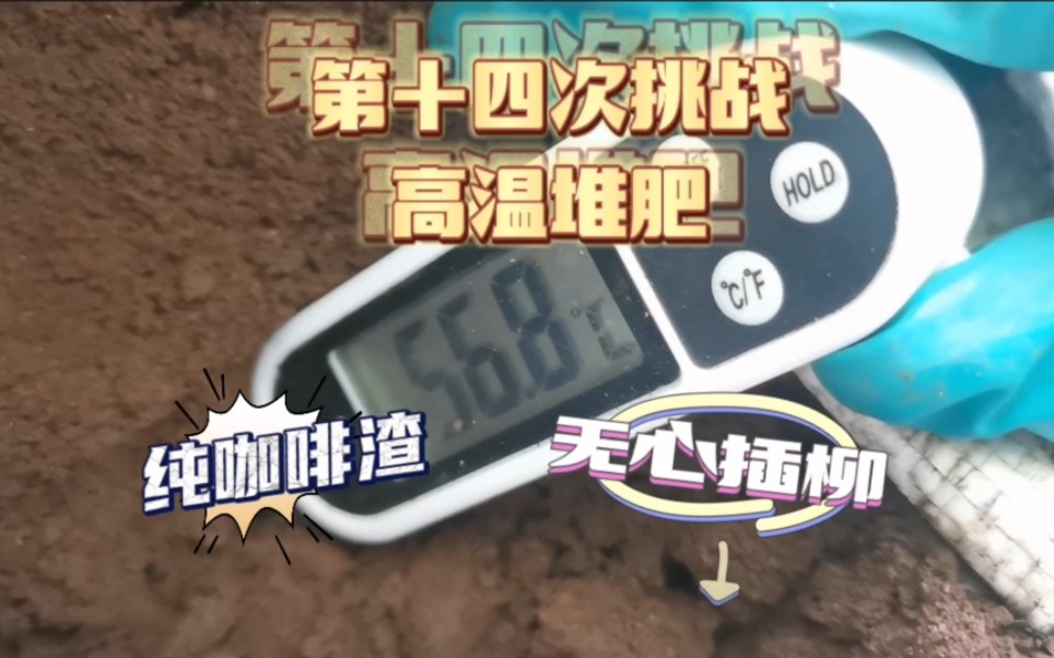 咖啡渣是非常好的高温堆肥材料,单独的咖啡渣也能自升温到55度高温...