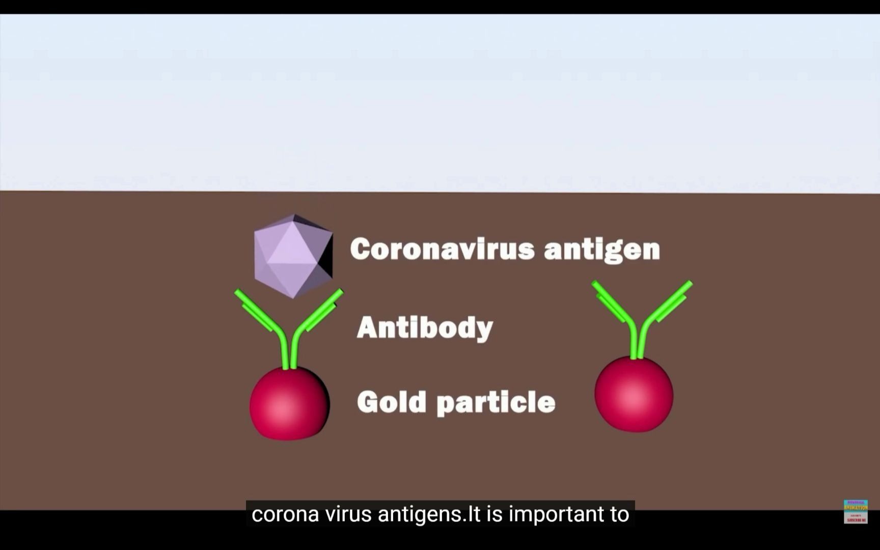 新冠病毒是如何被检测到的?|How Coronavirus is Detected?|