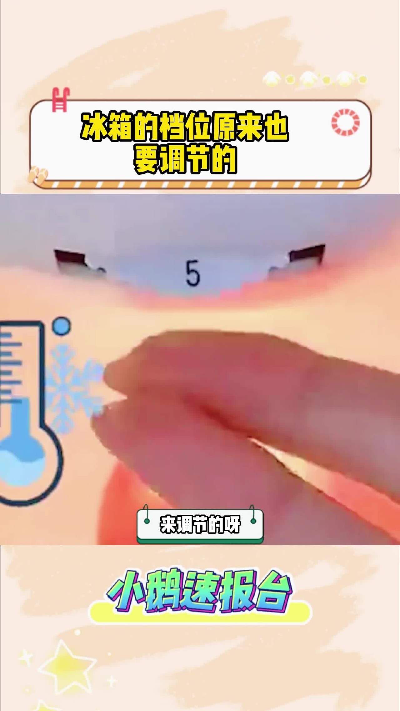 冰箱的档位原来也要调节的