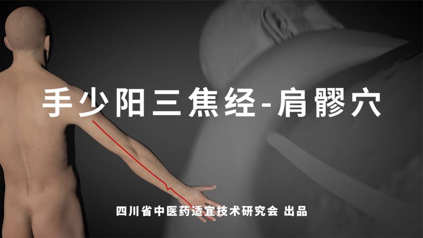 398个穴位,你都知道吗?手少阳三焦经-肩髎穴