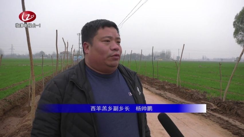 西羊羔乡:扎实开展植树造林,助力国家森林城市创建