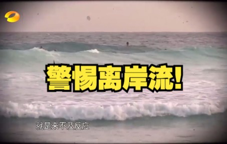 警惕离岸流!90%的海边溺水由它造成!
