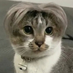 我不是三万我是酒桶 