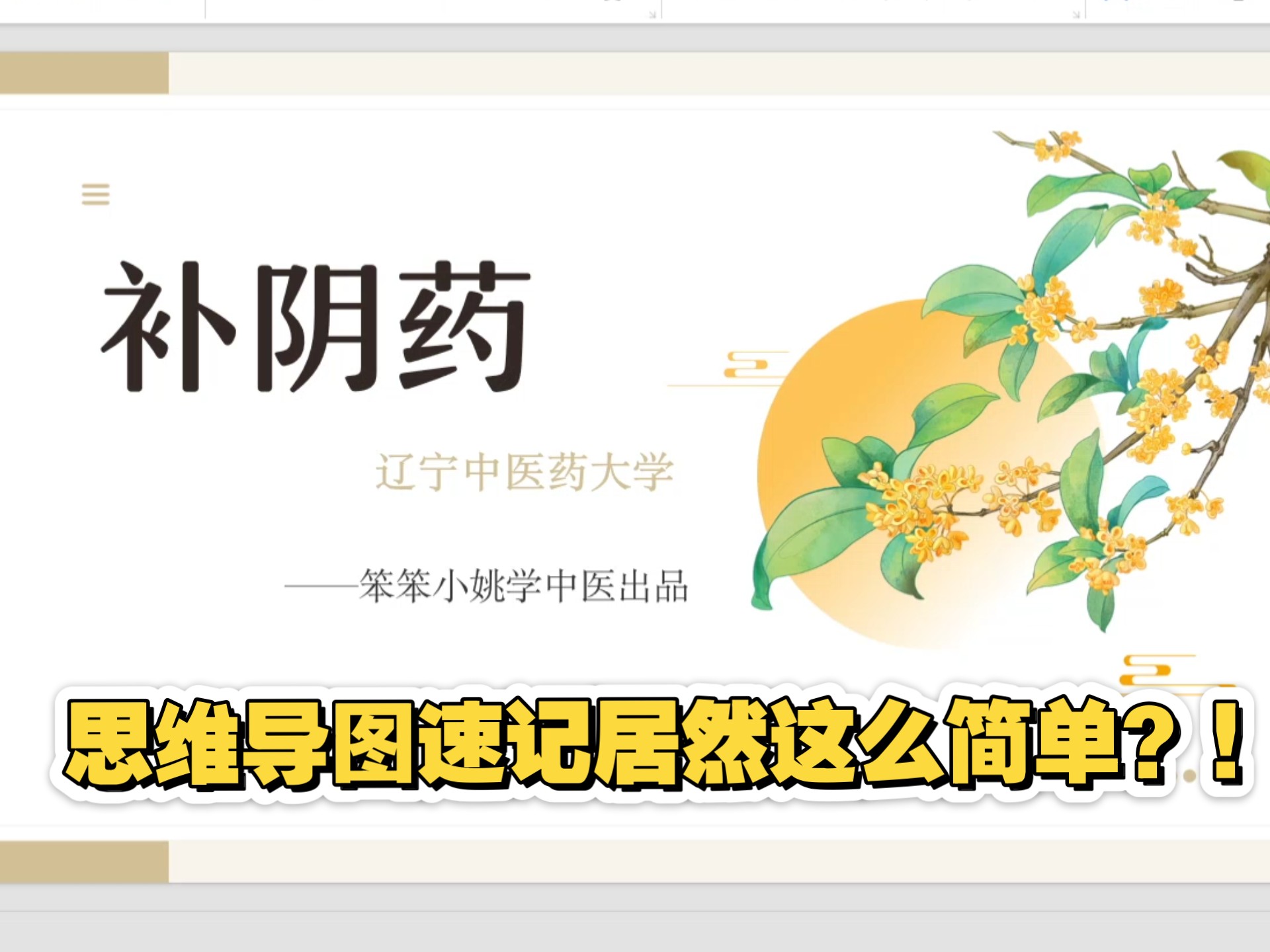 中药学99分学长带你速通中药功效!