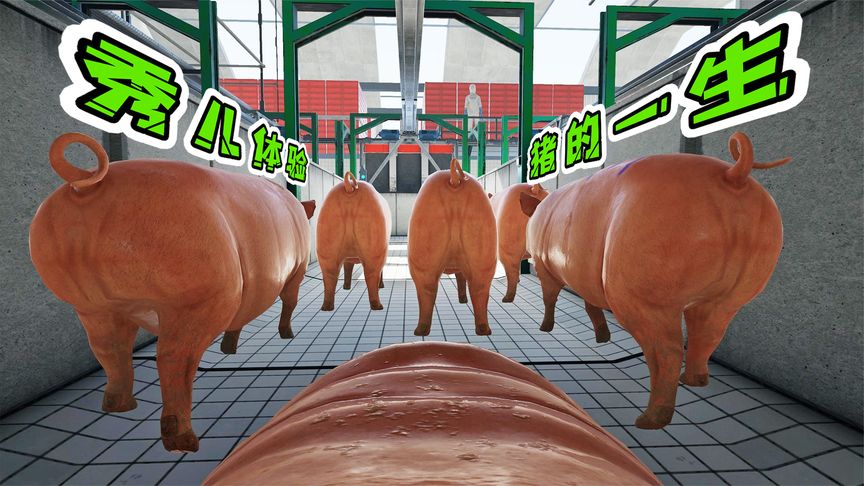 小猪模拟器:体验猪的一生,我最终还是进了超市,悲惨啊!