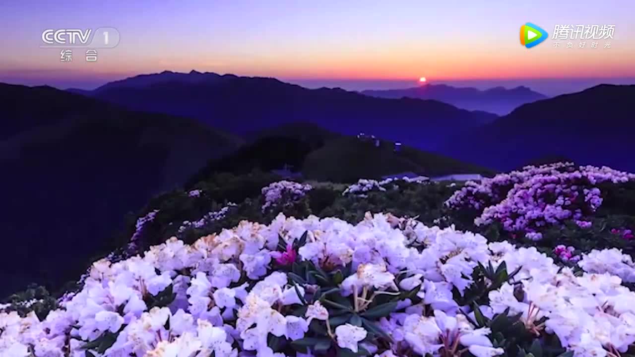 大美中国:四川瓦屋山