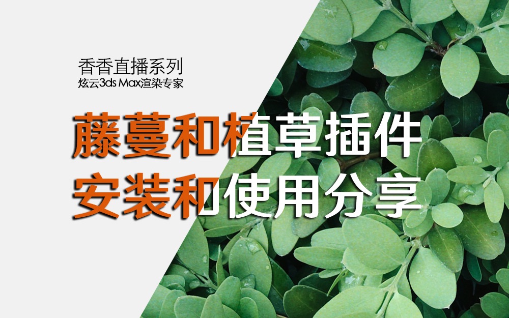 藤蔓插件的安装使用演示