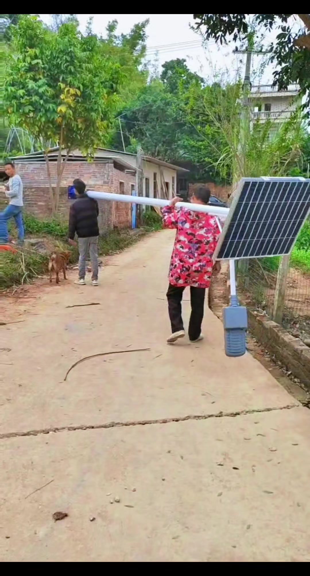 离婚6年未娶的村书,感慨万千,他说村里这139盏路灯装好,就给大家找个...