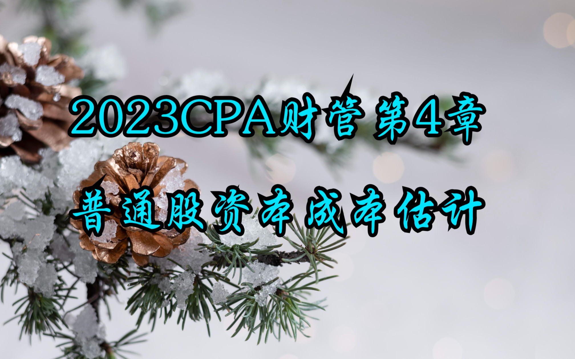 2023年CPA财管第4章:普通股资本成本的估计