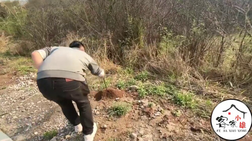 小伙在农村无意中发现的真事,千真万确,第一次见!
