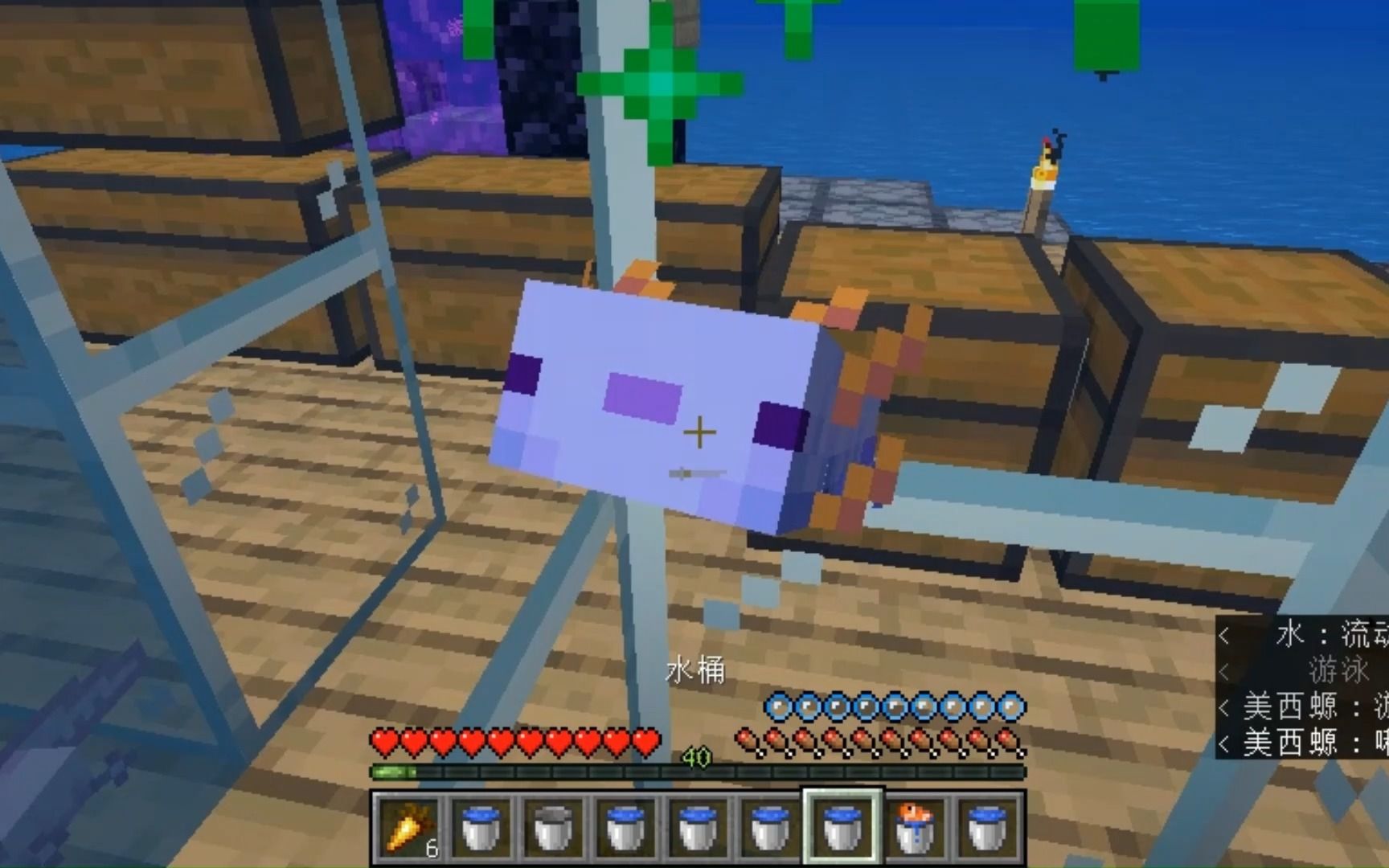 我的世界集齐所有颜色的美西螈挑战成功《点赞过6给所有美西螈命名,...