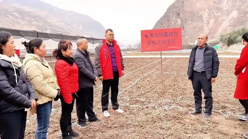 提质增效 惠椒网在陇南市武都区开展提质增效专项活动