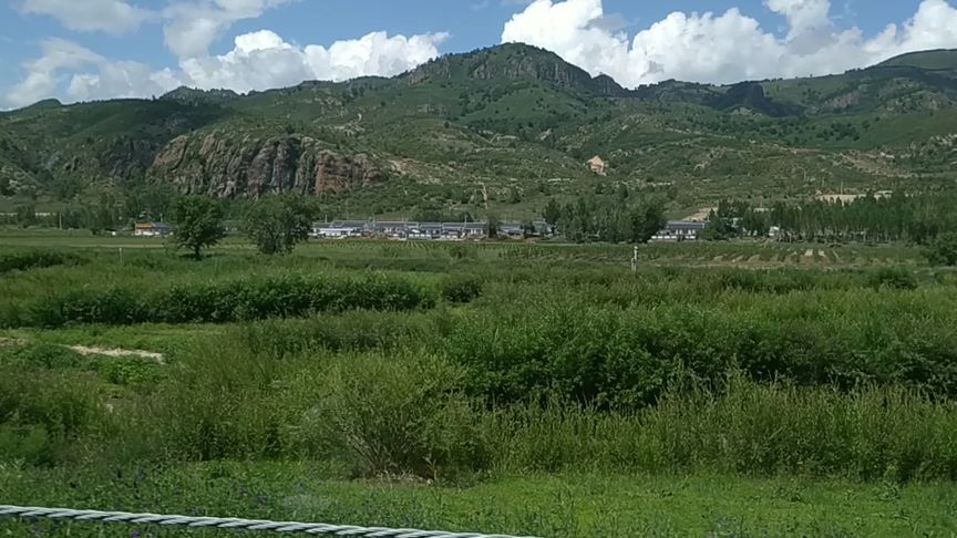 07端午节草原之旅…进入河北塞罕坝国家森林公园#24节气云游记#