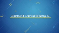 第3集(必修一 第一章 )硫酸钠溶液和氯化钡溶液的反应(P16).wmv