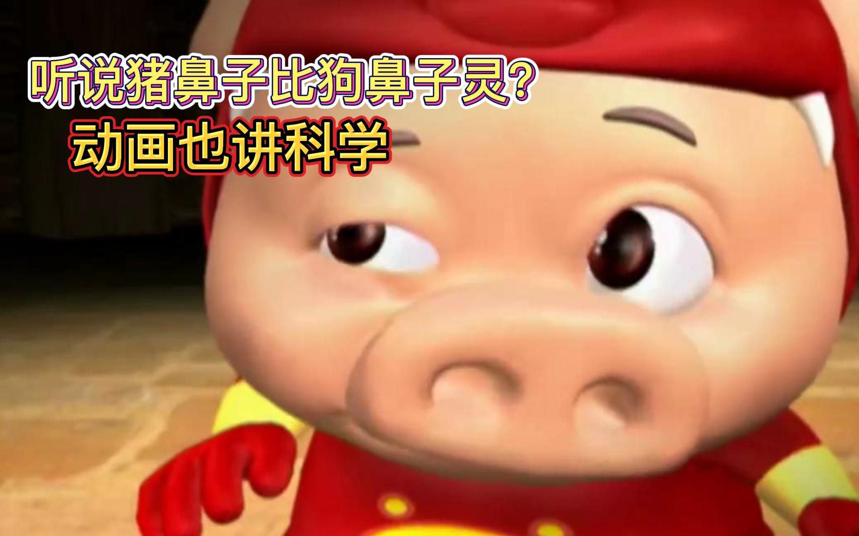 猪的嗅觉是狗的3倍?动画也讲究科学的
