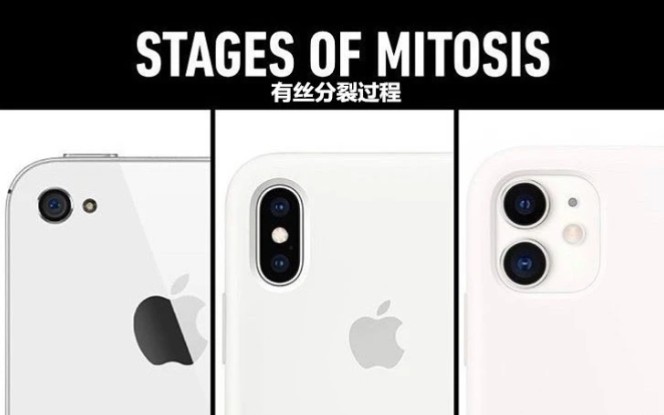观察根尖分生组织细胞的有丝分裂