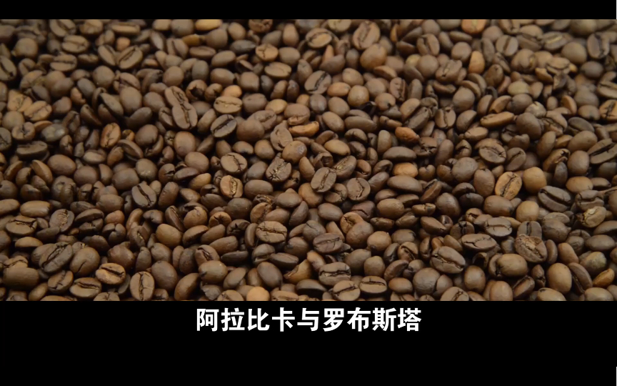 深入了解阿拉比卡和罗布斯塔。你还喜欢喝什么咖啡呀?