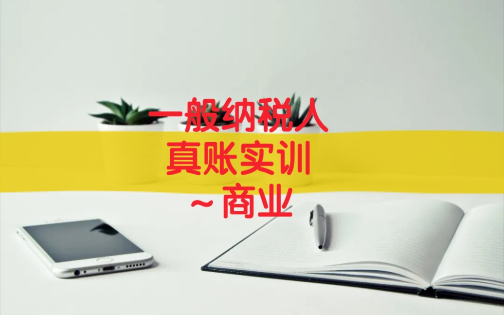 合集～一般纳税人真账实训～商业