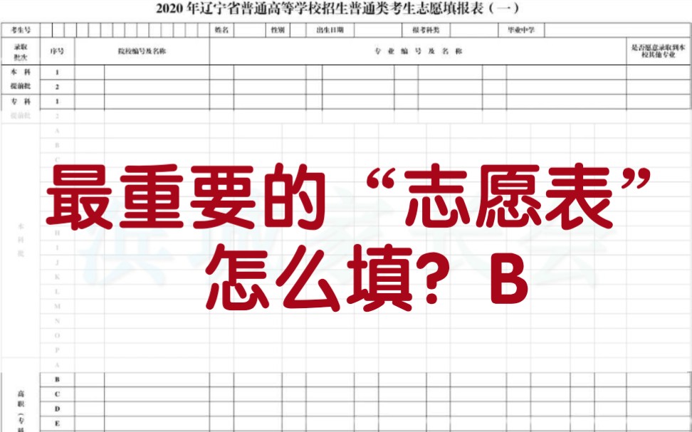 2020高考报考指南(十二)最最重要的志愿表怎么填?B