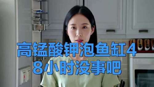 鱼缸消毒别乱来!高锰酸钾泡48小时,你的鱼还好吗?