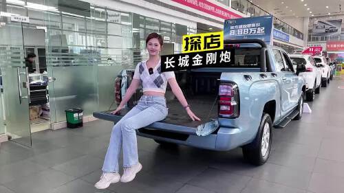 探店长城金刚炮你确定这是台皮卡!?