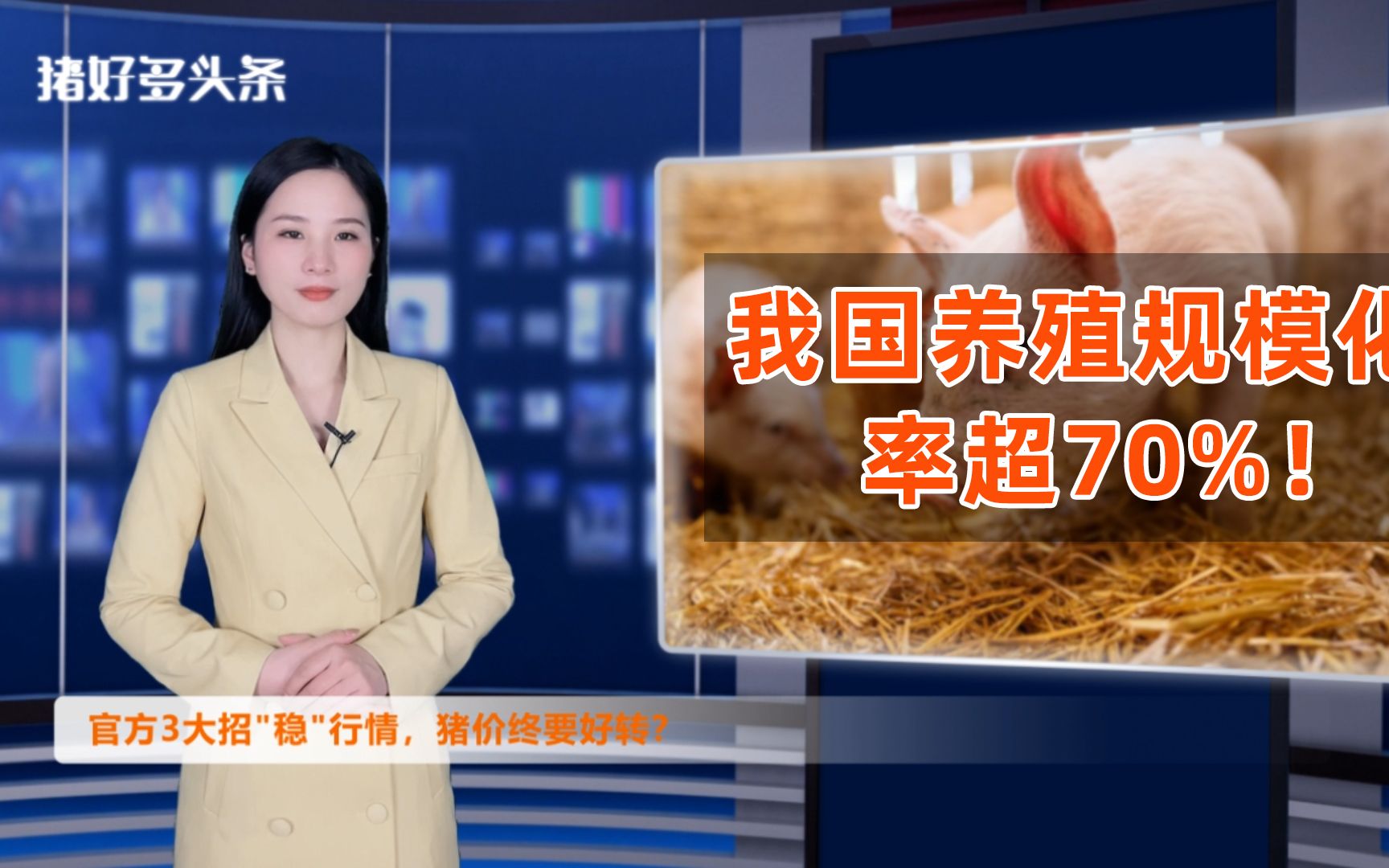 我国养殖规模化率超70%!官方3大招稳市场,猪价终要好转?