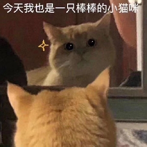 福贵崽崽 