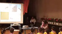 大班语言活动:《它到哪里去了》 幼儿园幼儿教师优质课例实录