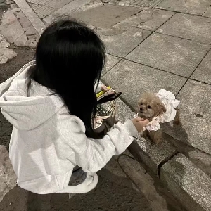 Aaaa蕖 