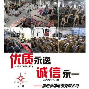 福州永逸电缆有限公司 