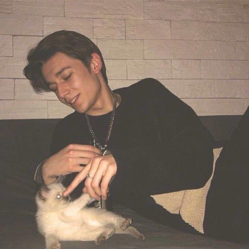 大凡网络 